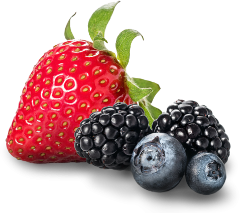 Home - Greaves Jams and Marmalades